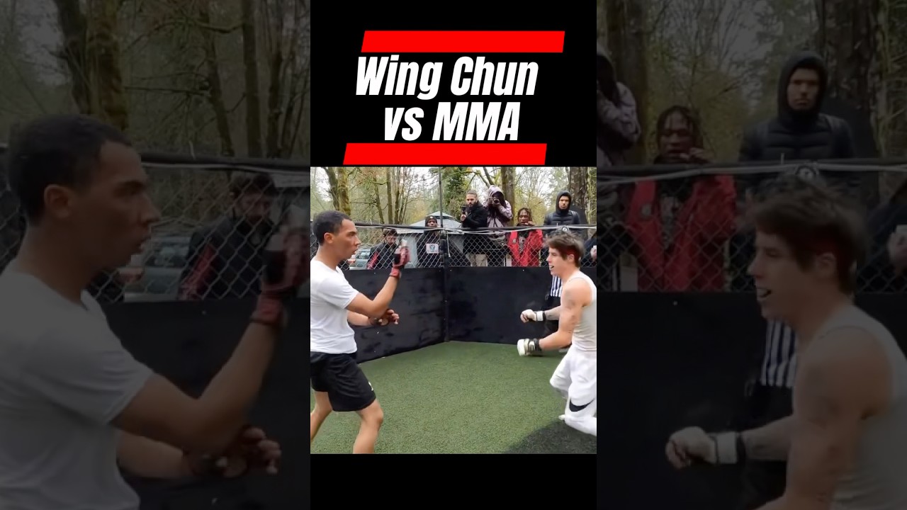 WING CHUN MASTER VS MMA FIGHTER #wingchun #mma #fighter #boxing #kungfu ...