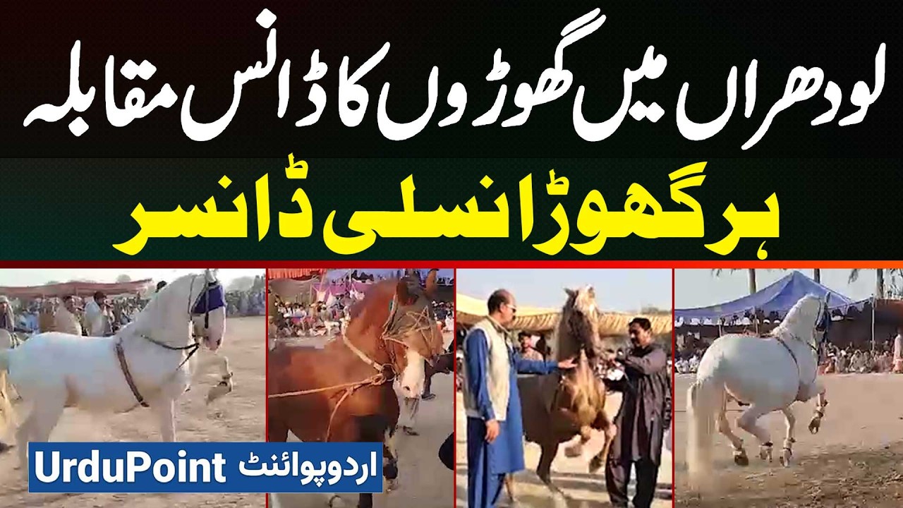 Horse Dance Competition In Lodhran - Every Horse Is A Thoroughbred ...