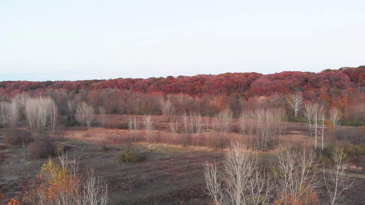 River Bluff Area, Highbanks Metro Park - YouTube