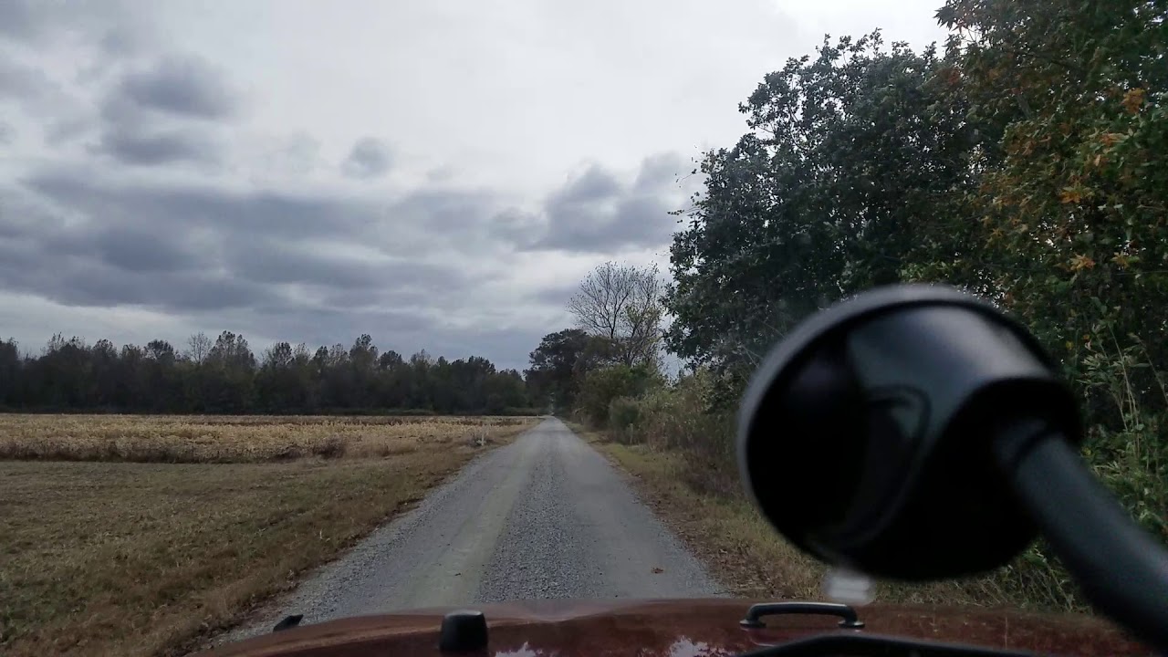 Cavalier WMA- Chesapeake, Va(3) - YouTube