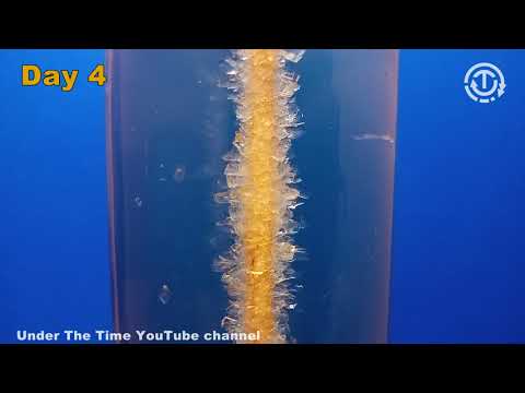 Grow Crystals From Sugar (Crystal Candy) time lapse