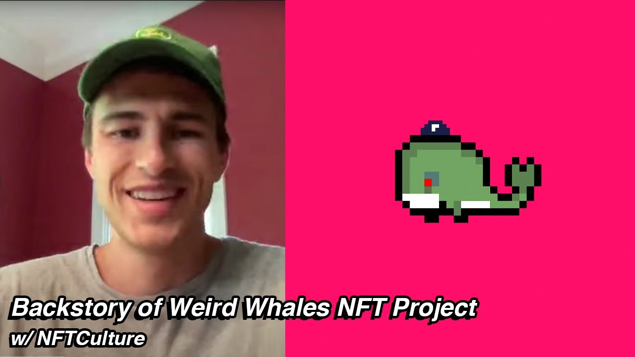 Backstory of the Weird Whales NFT Project - YouTube