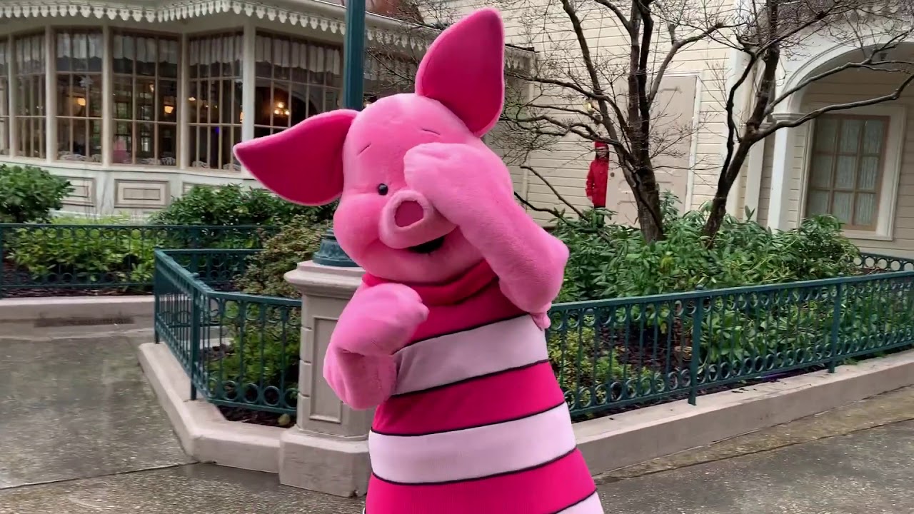°o° Piglet is so CUTE ! - YouTube
