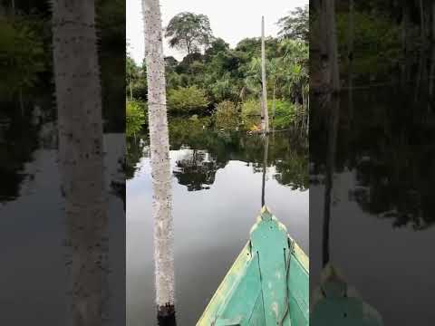 Passear no Lago do Jacundá - YouTube