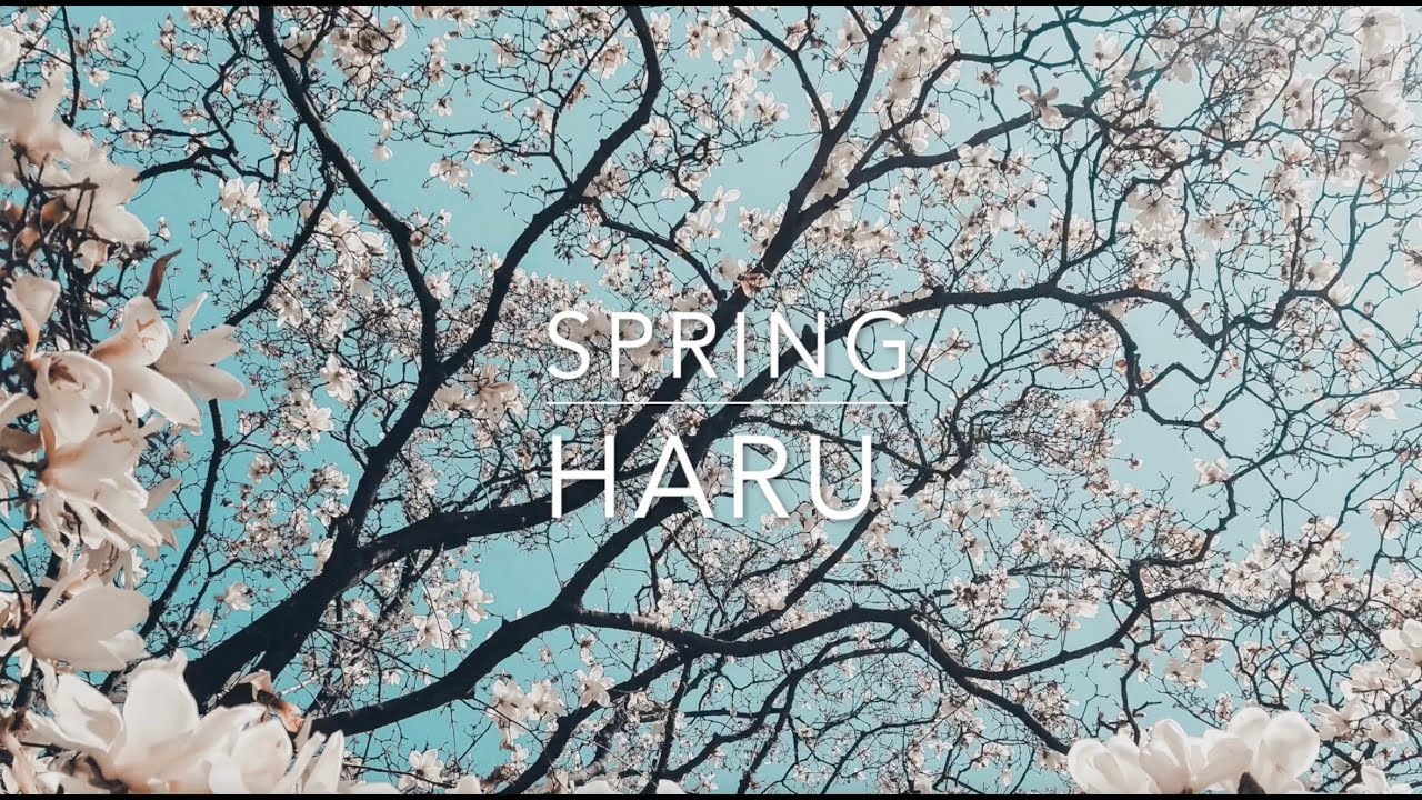 Haru spring - YouTube
