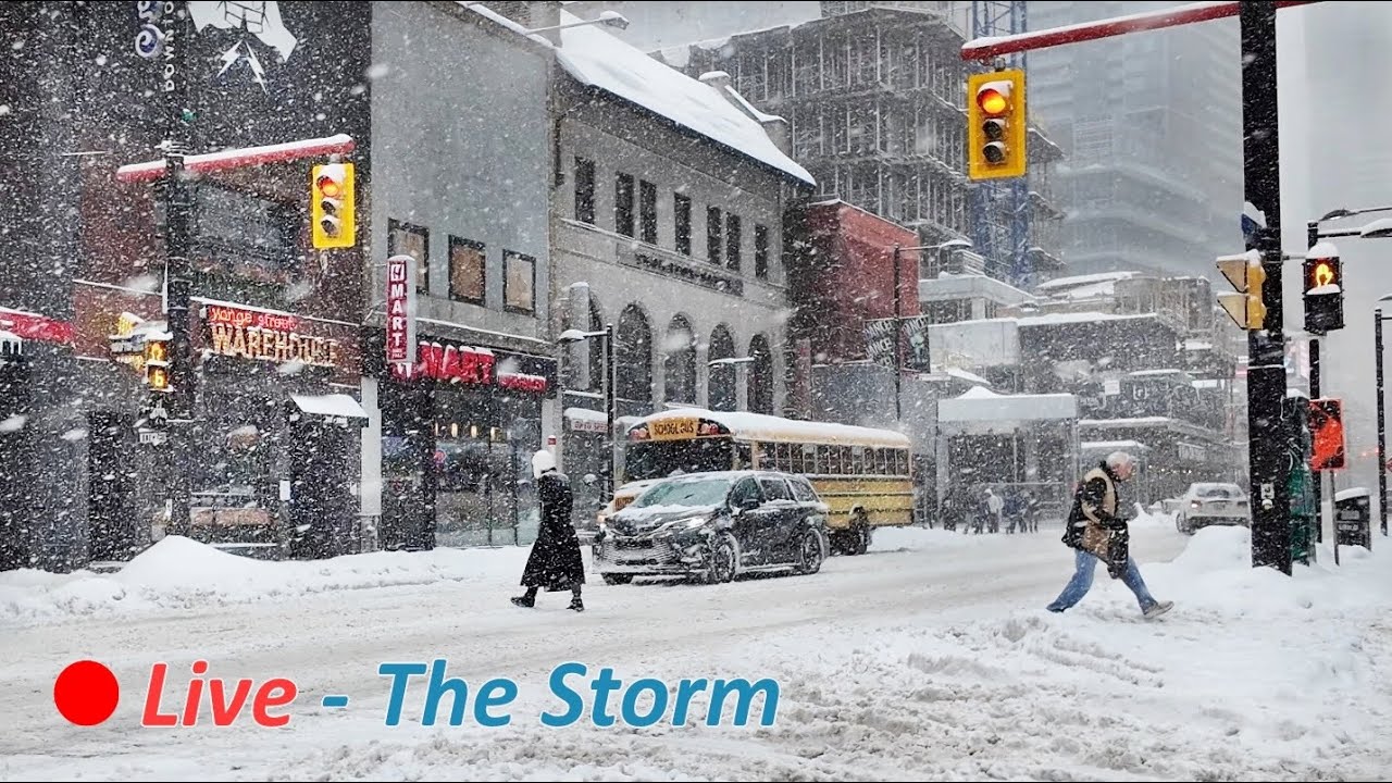 🔴 Toronto Live - Winter Snow Storm in Toronto Downtown - February 16 ...