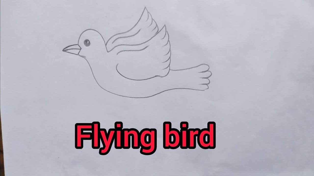 how to draw a flying bird/ easy flying bird drawing 🐦🐦 - YouTube