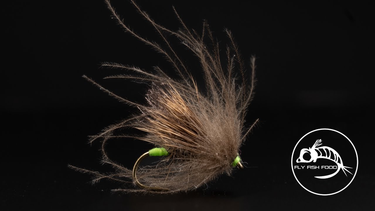 Caddis DRY FLY Pattern With a Special Name - DUSTY OLD BAT | Fly Tying ...