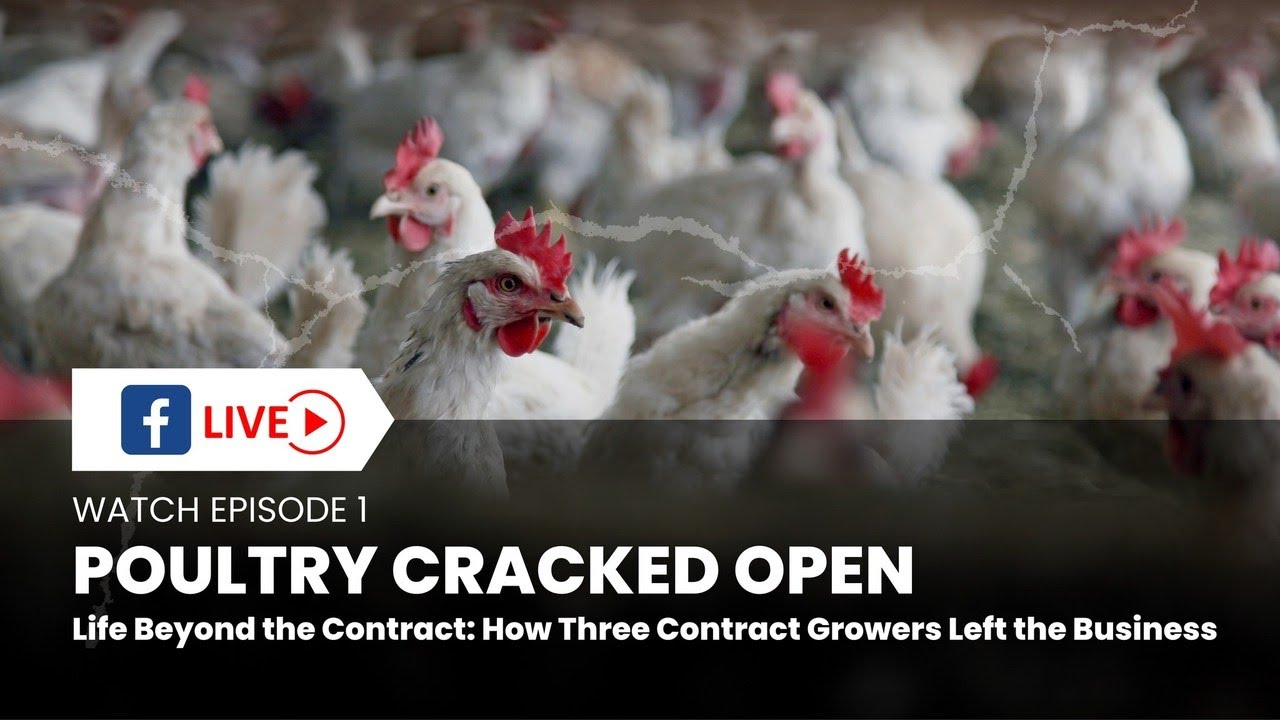 Life Beyond the Contract: How Agribusiness Giants Exploit Small Farmers ...