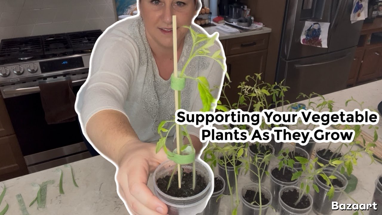 How to Support Your Vegetable Plants for Strong, Healthy Growth - YouTube