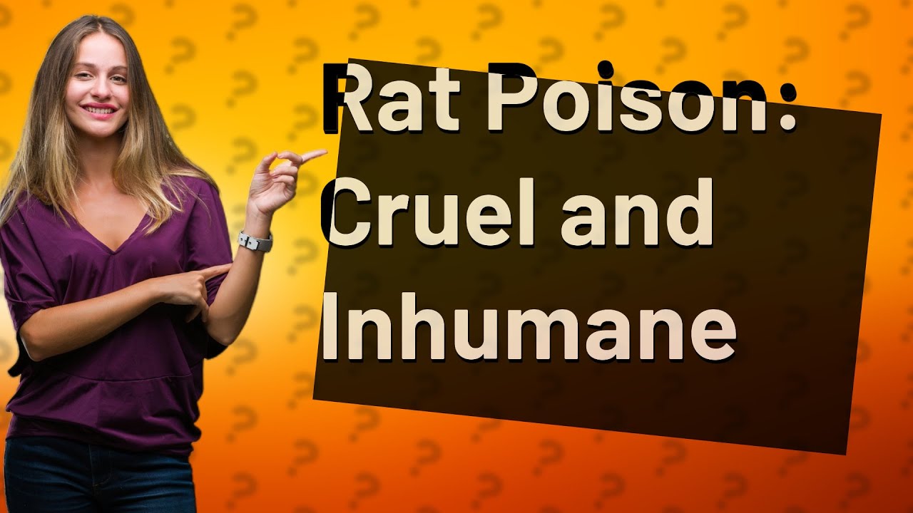 How cruel is rat poison? - YouTube