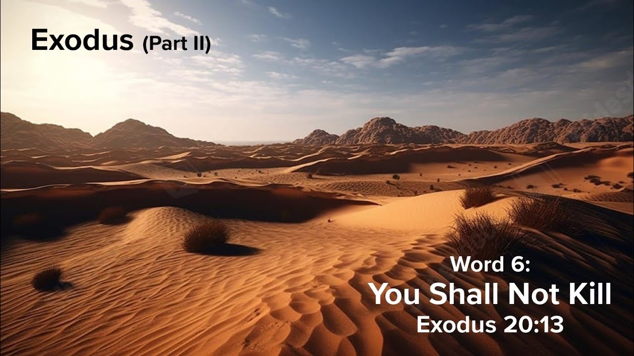 Exodus 20:13: Word 6 "You Shall Not Kill" - YouTube
