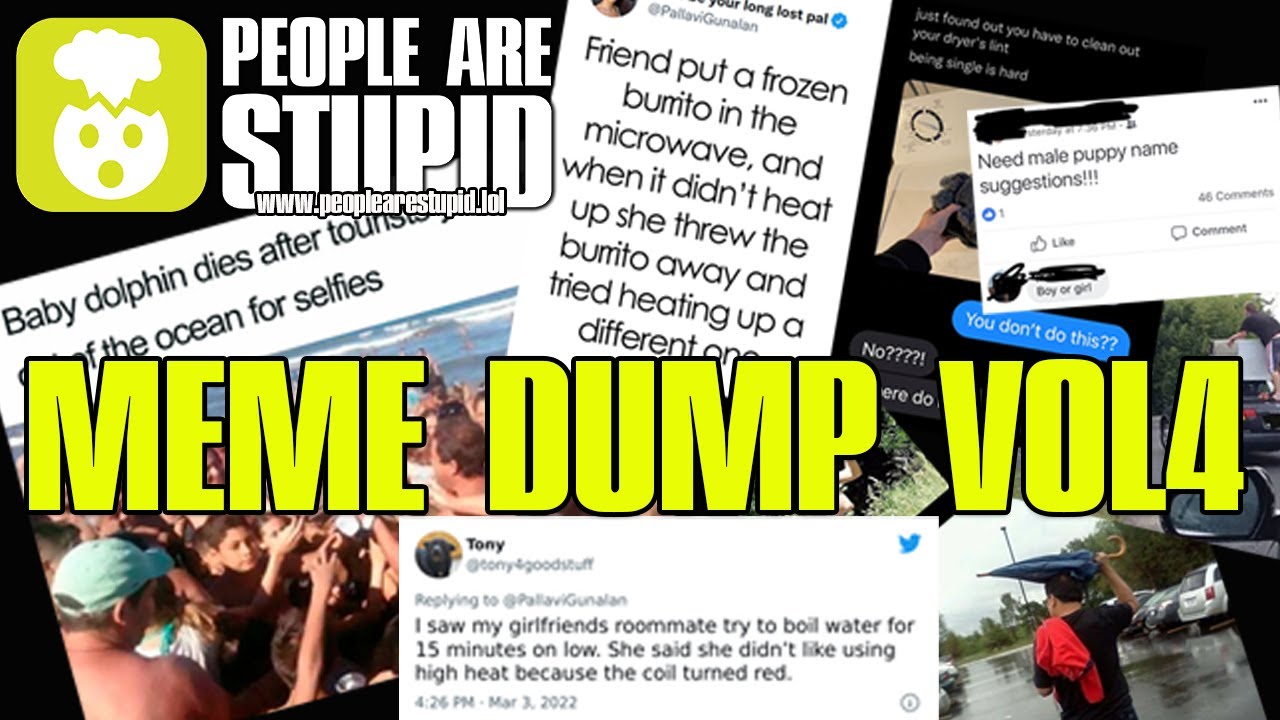 MEM DUMP VOL4 | EVEN MORE MORE RANDOM MEME GOODNESS - YouTube
