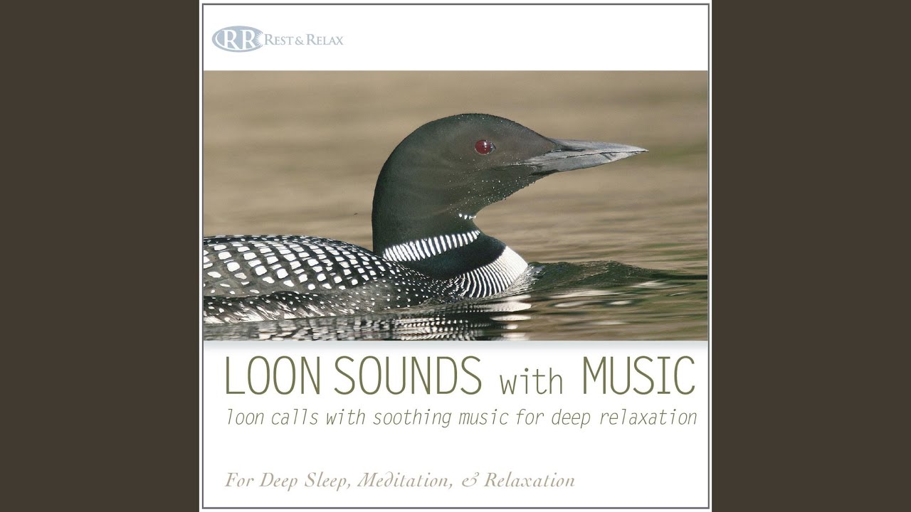 Sounds of Loons With Peaceful Piano - YouTube