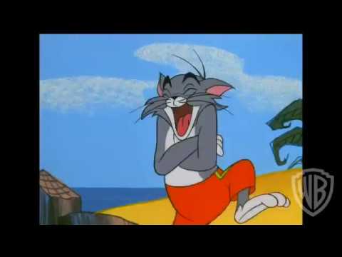 Tom and Jerry  Fur Flying