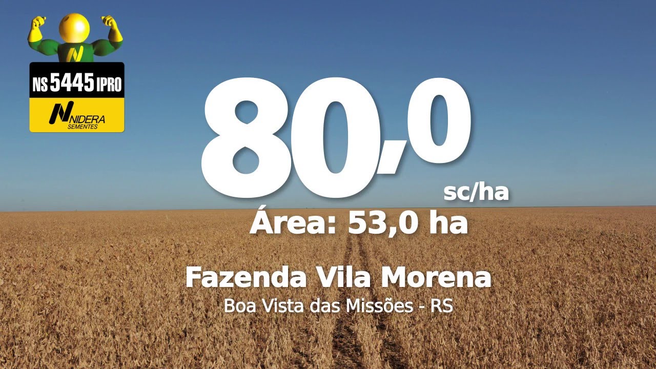 NIDERA SEMENTES - Campeão de produtividade – NS 5445 IPRO - YouTube