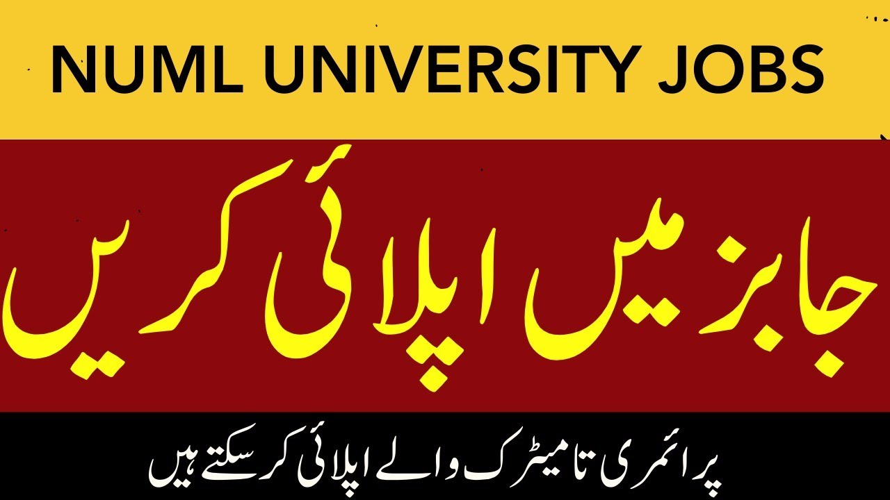 NUML UNIVERSITY JOBS 2024 | How to Apply in National University of ...