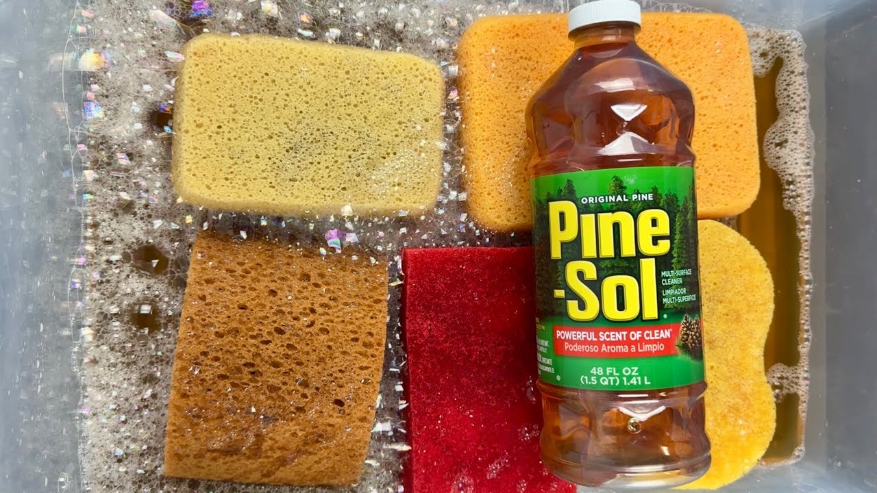OG Original Pine Sol 🌲 ASMR SPONGE SQUEEZES 🫧 🧽 - YouTube