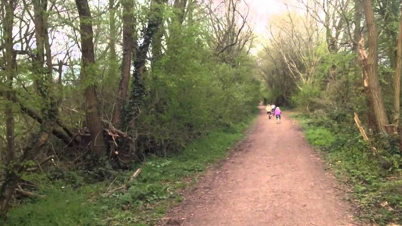 Spring Bike Ride - YouTube