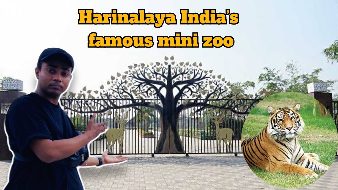 India’s famous mini zoo | mini zoo | Harinalaya mini zoo | zoo me ...