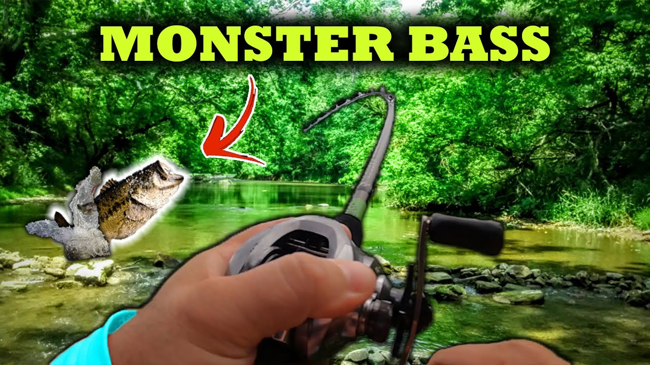 BIGGEST Fish Of My Life 15 LBS YouTube