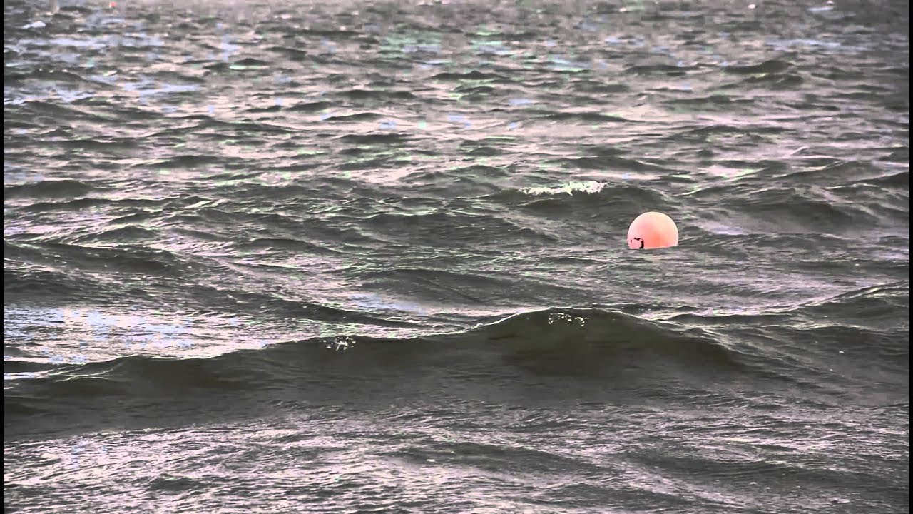 Moving Water IV: Buoy Floating in Sea (1920x1088, 24fps) Free Creative ...