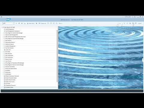 7. SAP GRC - EAM - Users and Roles - Plug In System - YouTube