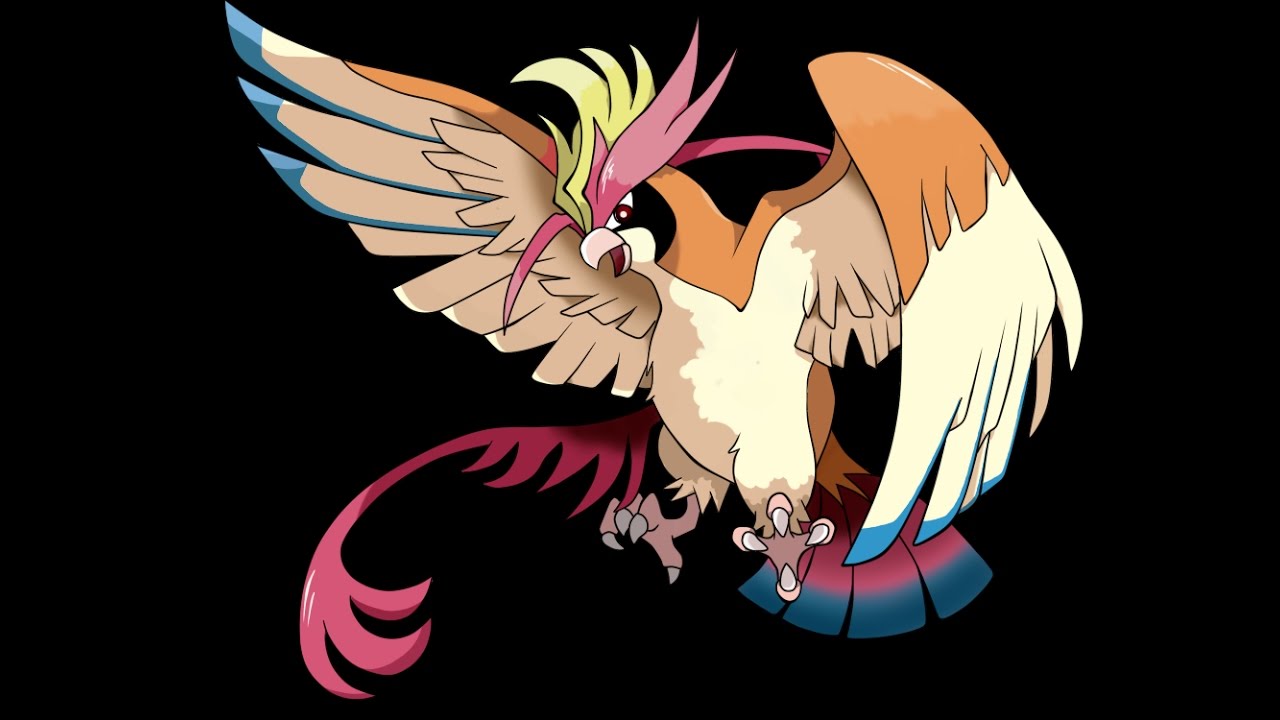 pidgeot mega cool/roblox pokemon battle or org advanced - YouTube