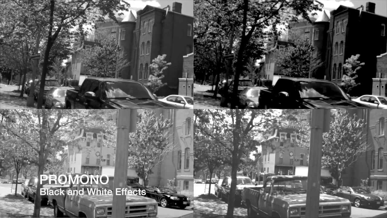 Promono Black and White Grades: Not All Black and White Are The Same ...