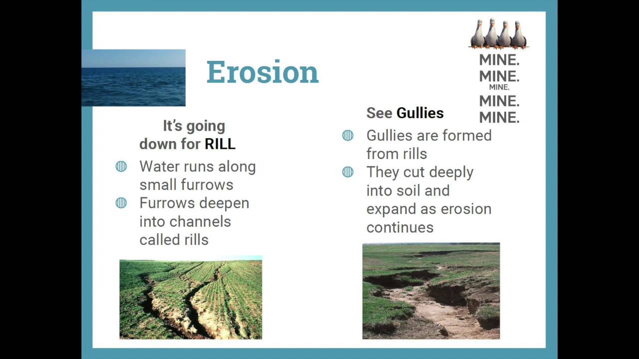 Earth Systems and Resources: Soil & Soil Dynamics: Powerpoint Lecture ...