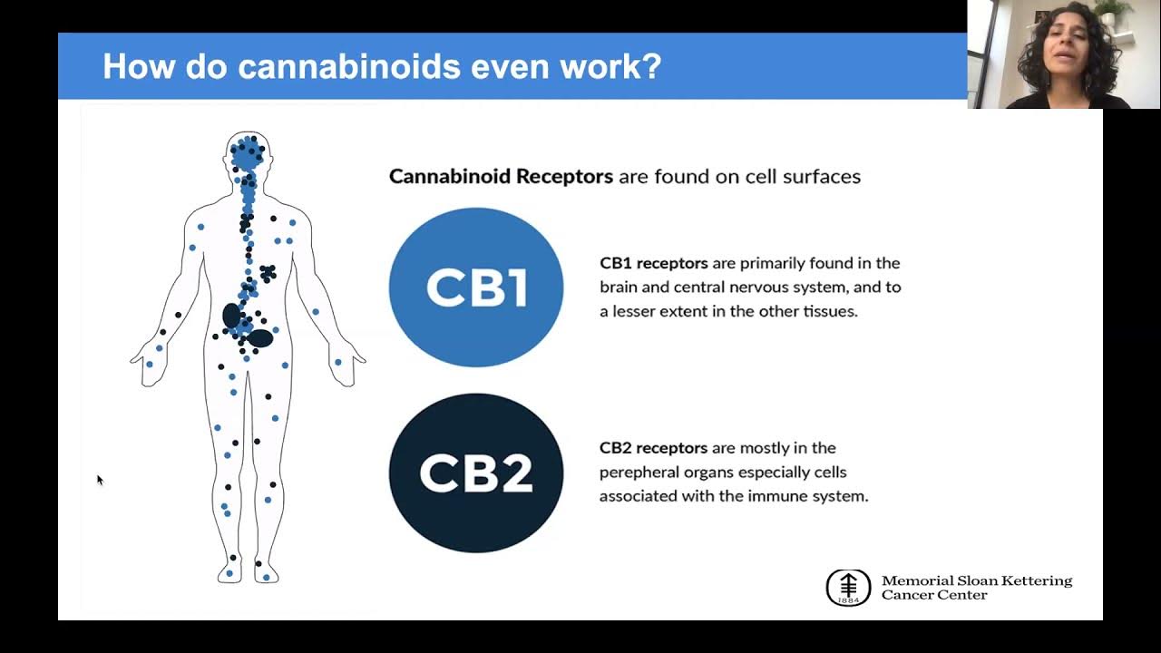 CBD and Medical Marijuana Use for Cancer Patients - YouTube