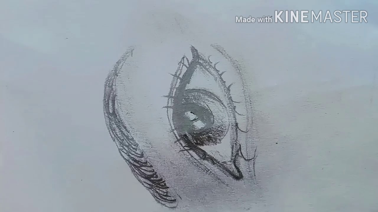 natraj pencil se Realistic eye || figar painting ||eyes kaise bnate h ...