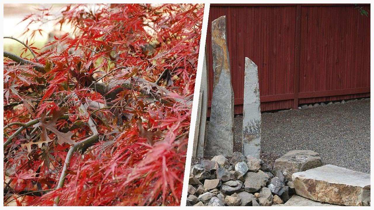 75 Asian Red Landscaping Design Ideas You'll Love 😊 - YouTube