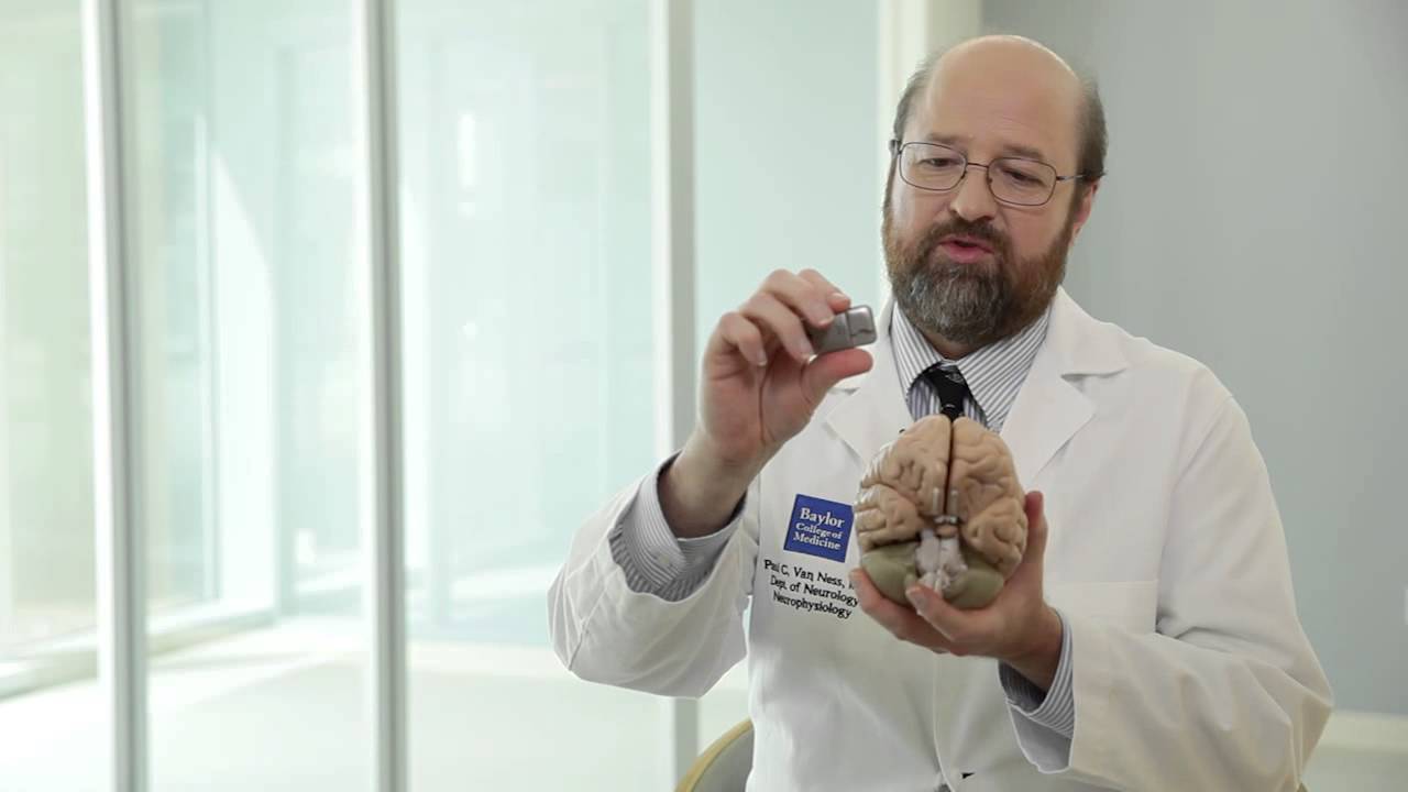Neuroscience: Epilepsy: Preventing Seizures with Brain Stimulations ...