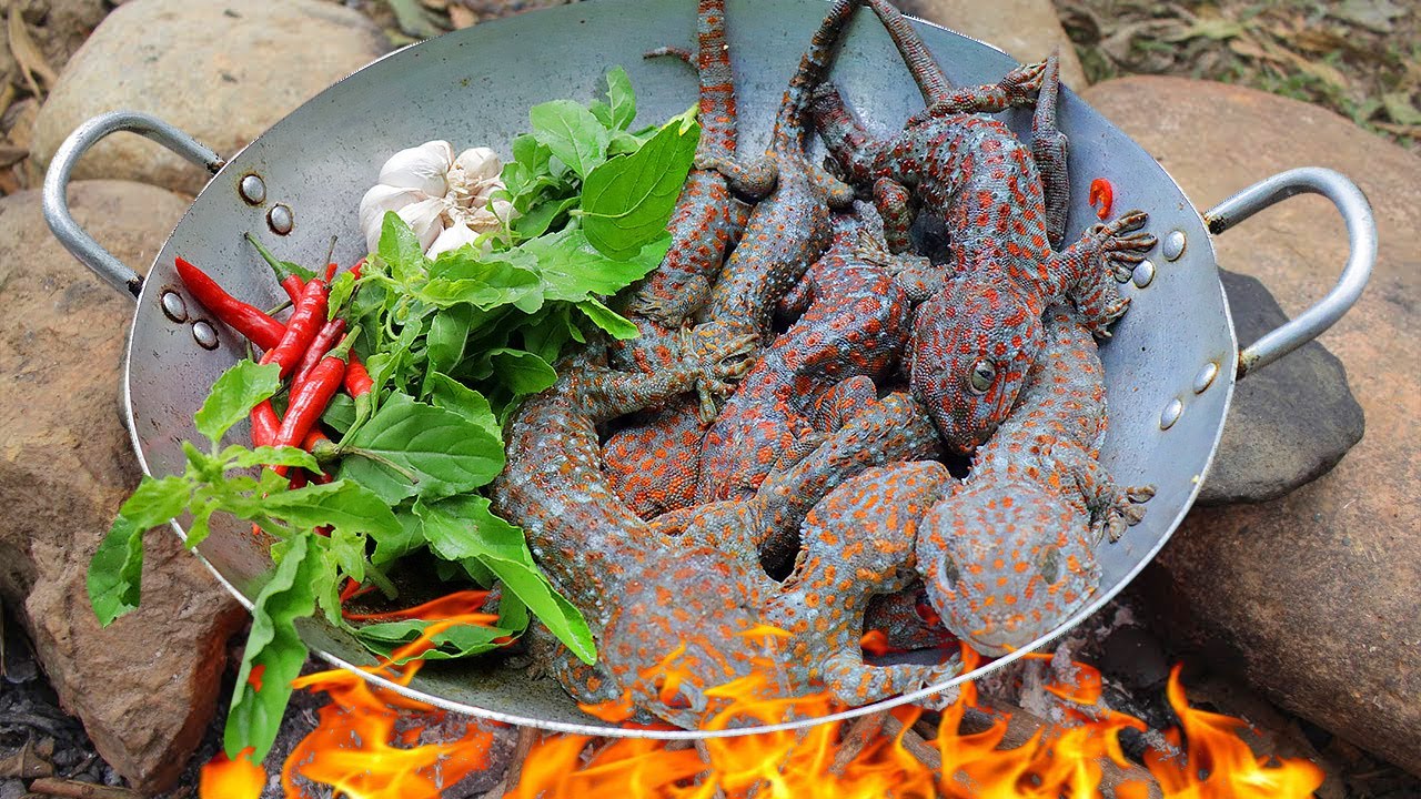 Wilderness Life: Find catch n lots of Gecko in tree Cooking Gecko Fried ...