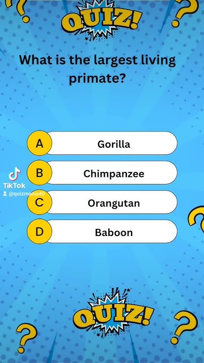 Quiz Answers Revealed: How Well Did You Score? - YouTube