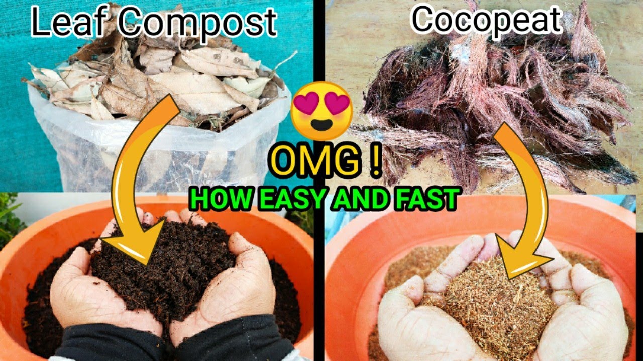 How to make Cocopeat and Leaf Compost at home fast and easy. Amazing ...