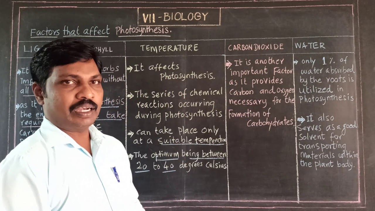 Factors Of Photosynthesis Class 7 Science YouTube factors-of-photosynthesis-class-7-science-youtube