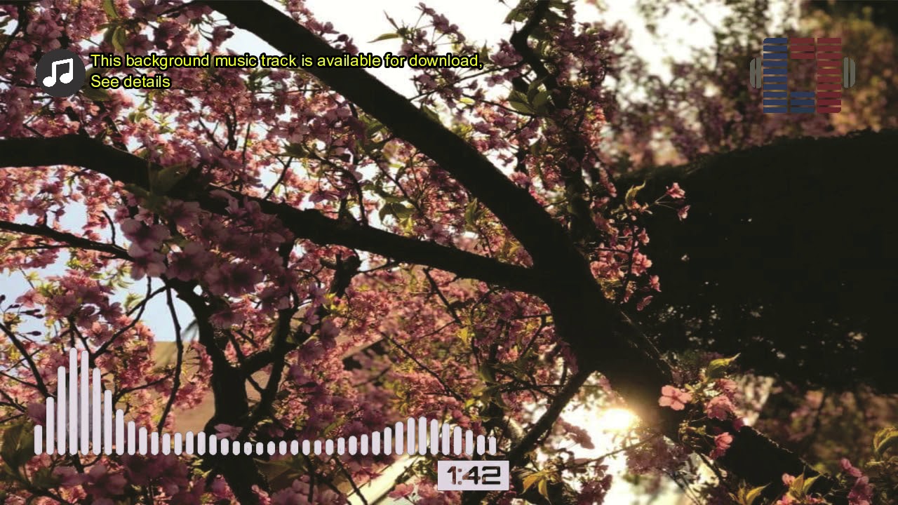 Instrumen Musik Romantis Bahagia Bikin Baper Cocok Untuk Backsound ...