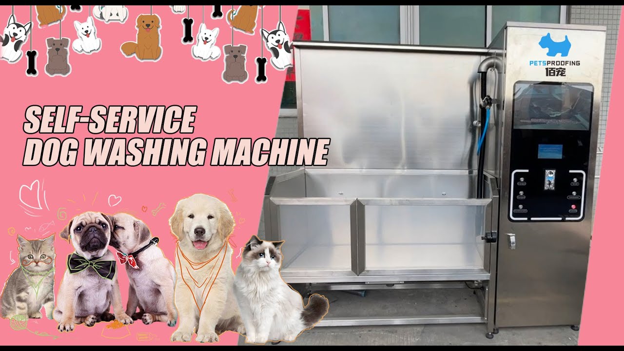 Dog washing machine - YouTube