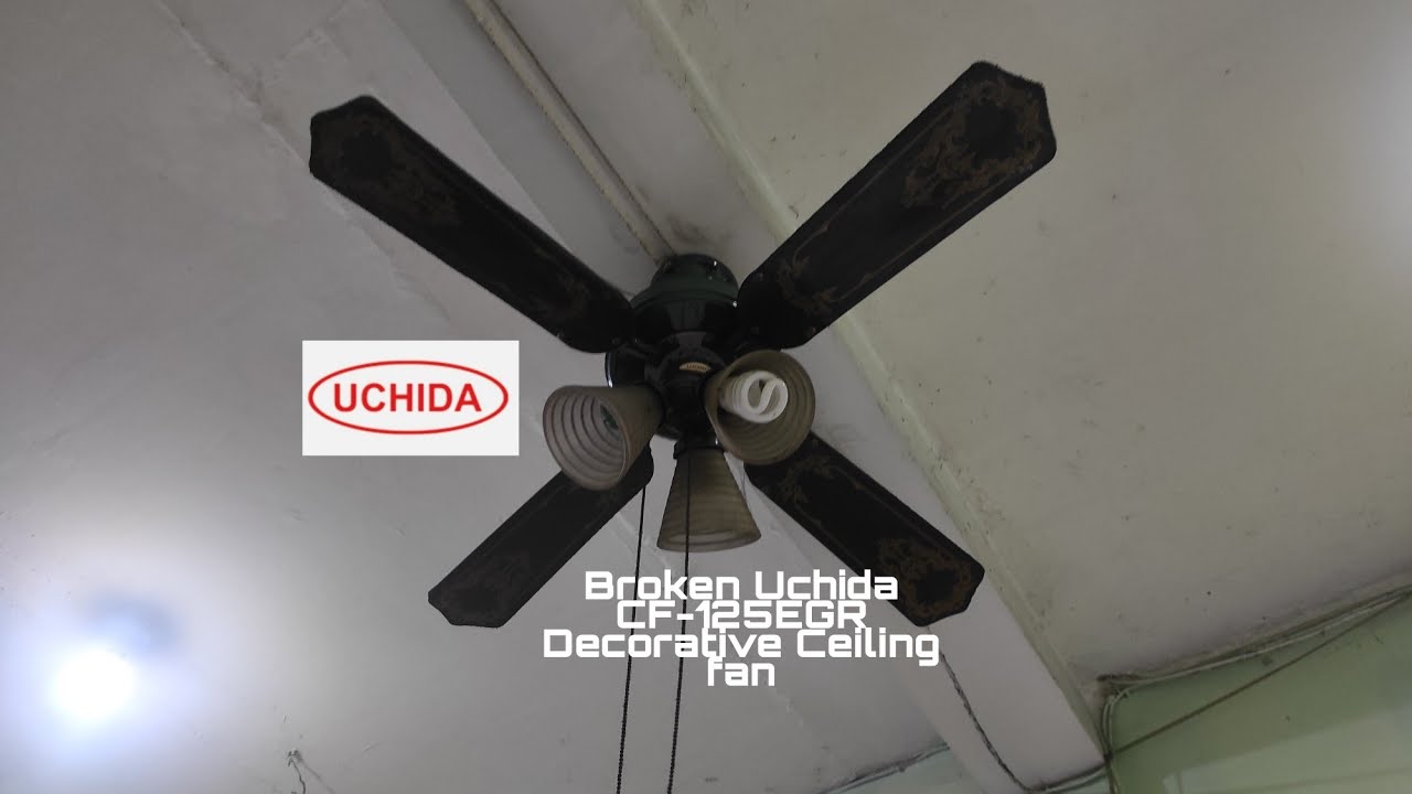 Uchida Decorative Ceiling Fan - YouTube