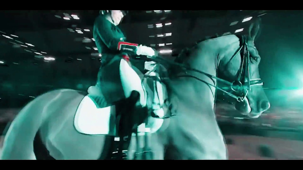 Dressage | Horses | Totilas | Valegro | Gangsta Walk - YouTube