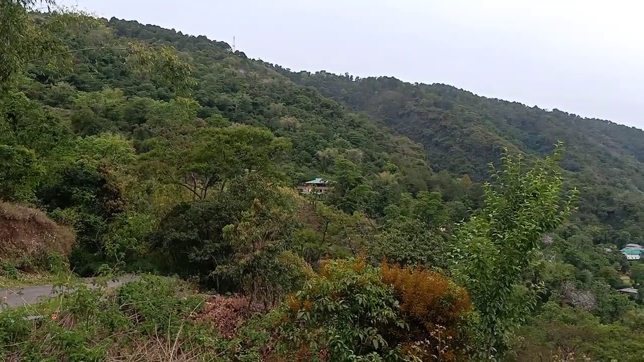 Kailashpur view in Distt kangra - YouTube
