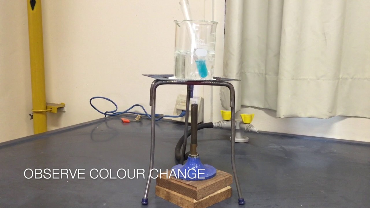 Food Tests: Benedict's Test - YouTube