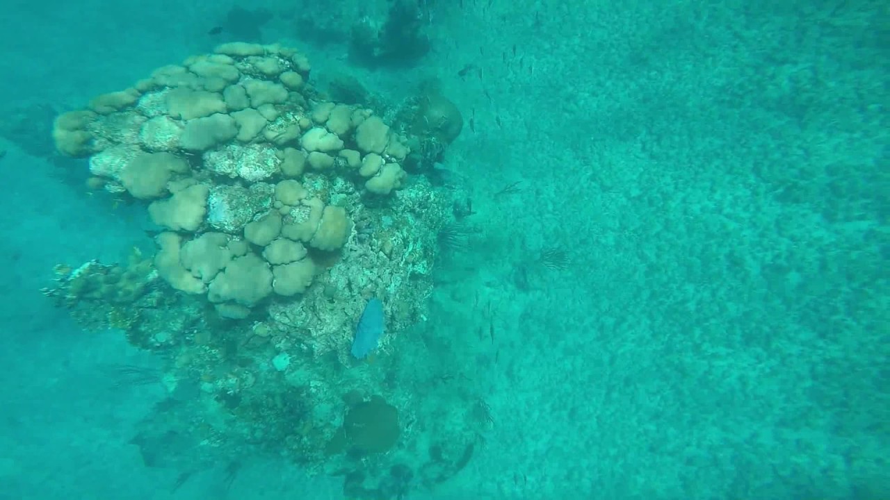 Jibacoa Snorkeling 2017 - YouTube