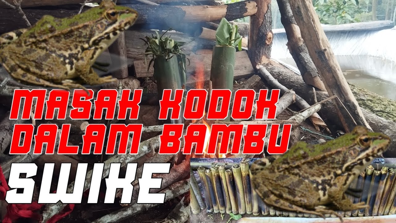 MASAK KODOK LIAR SWIKE #petualangan #masak #kodok #swike #sundalucu # ...