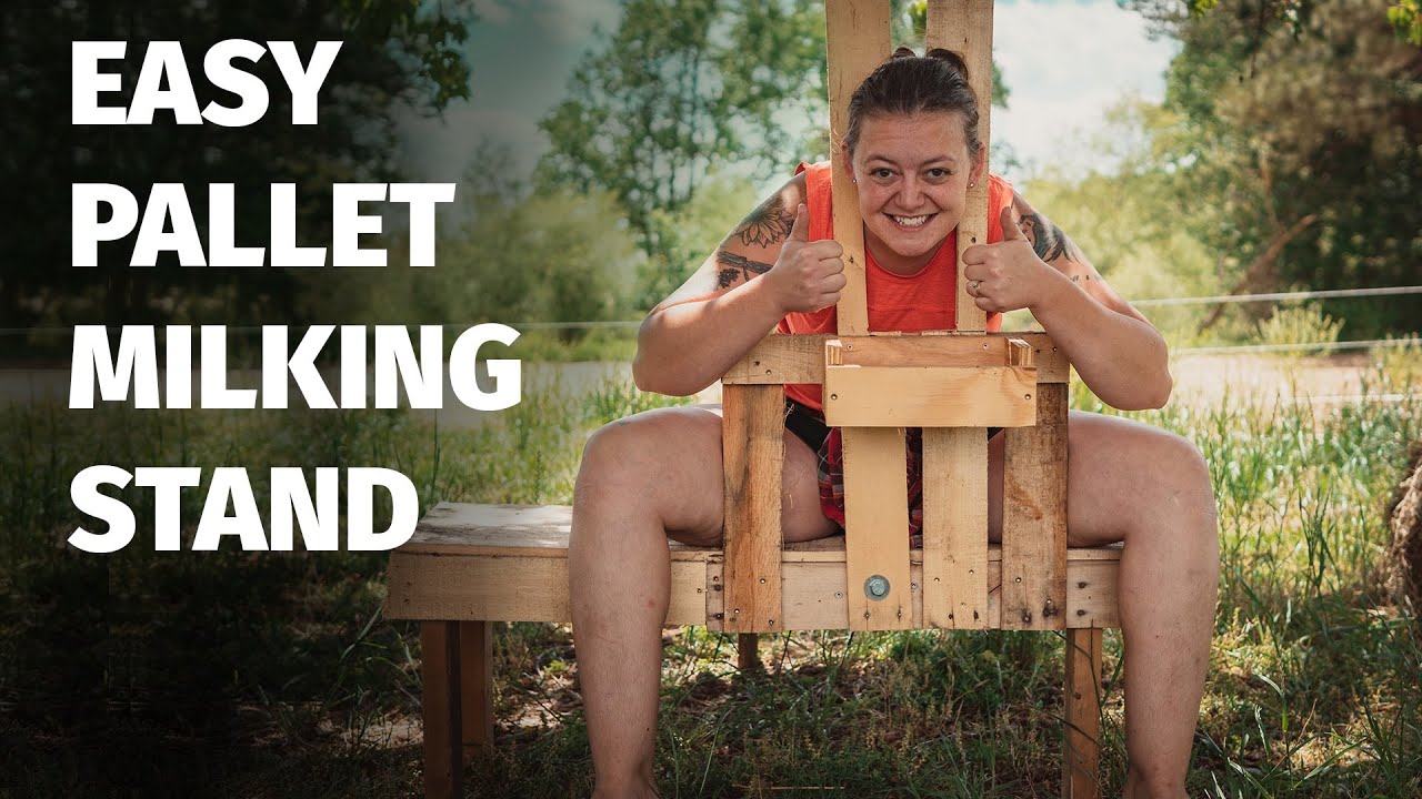 No Cost Pallet Goat Milking Stand - YouTube