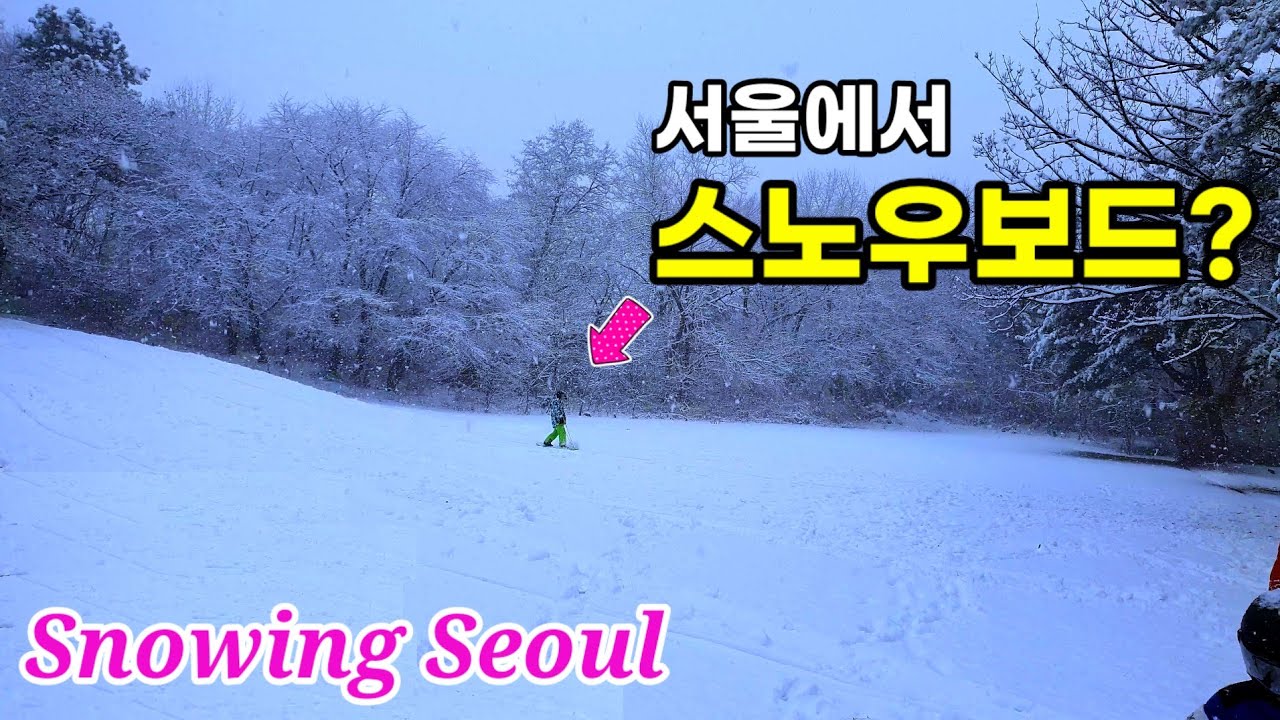 42년만의 서울 폭설 내리는 풍경 ^^ Heavy snowfall in Seoul~ 함박눈/설경/seoul travel ...