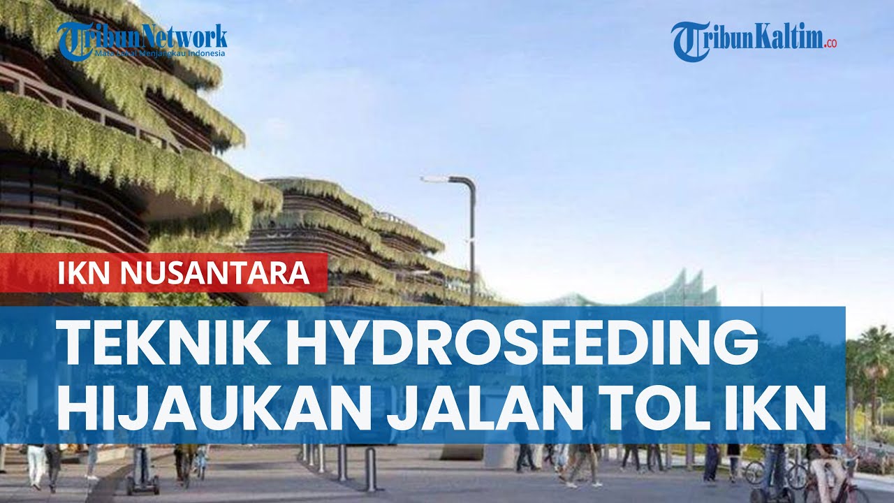 Teknik Hydroseeding Dipakai Hijaukan Lereng di Jalan Tol Balikpapan-IKN ...