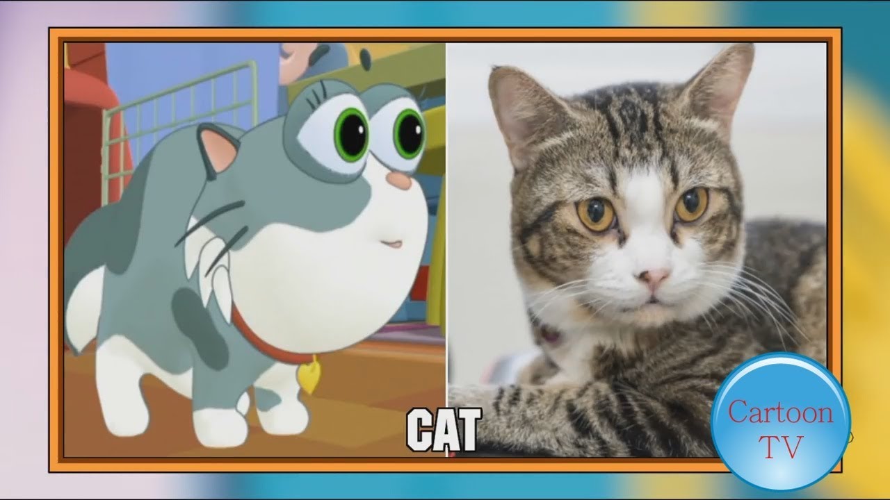 Handy Manny Characters In Real Life - YouTube